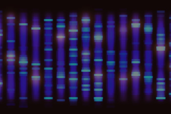 American Board of Bioanalysis - American Board of Bioanalysis (ABB)